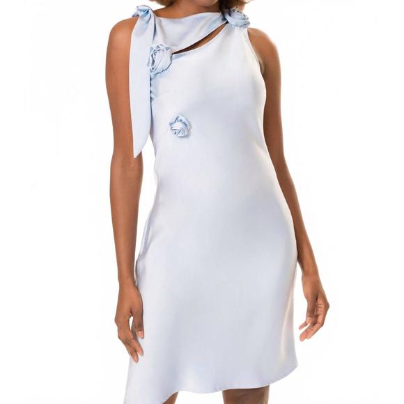 Area Stars | Dresses | New Area Stars Rose Satin Mini Dress In Light ...